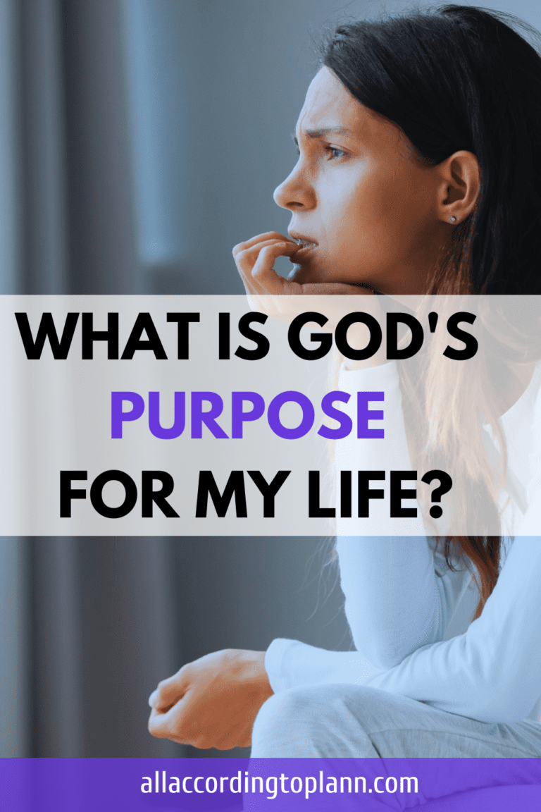 What is God's Purpose for My Life? - All According to Plan