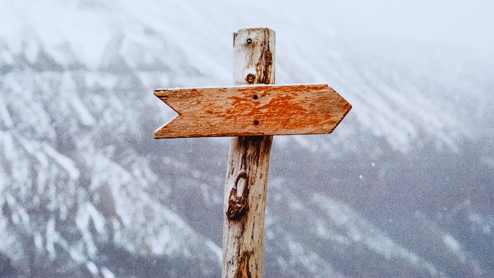 4 Common Signs From God - All According to Plan